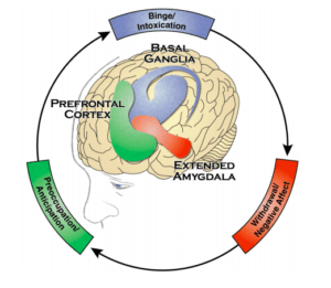 Drug Tolerance is a Major Indicator of Addiction | Stepping Stone Center